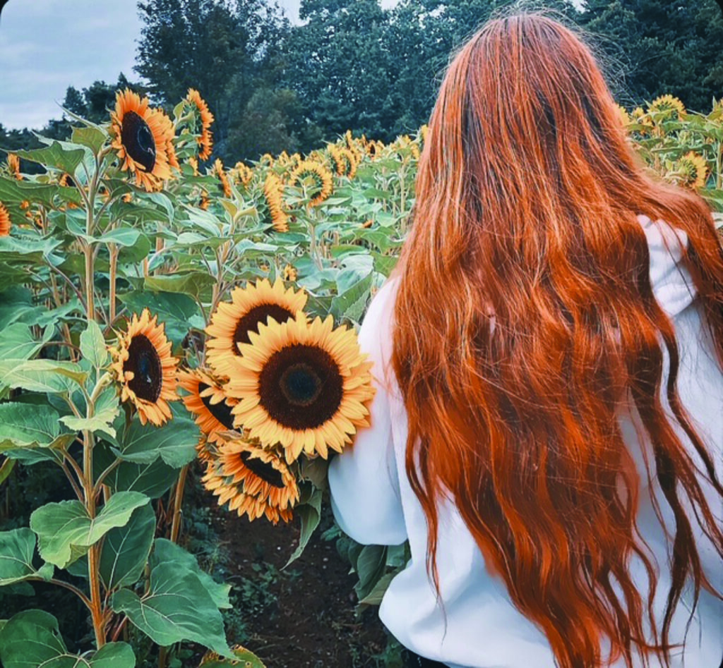 Nurturing the Past, Harvesting the Future - Plympton-Halifax-Kingston ...